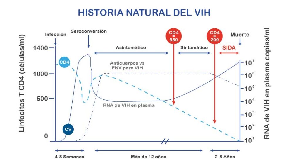 Atención de pacientes con SIDA-VIH | Instituto de Salud Pública